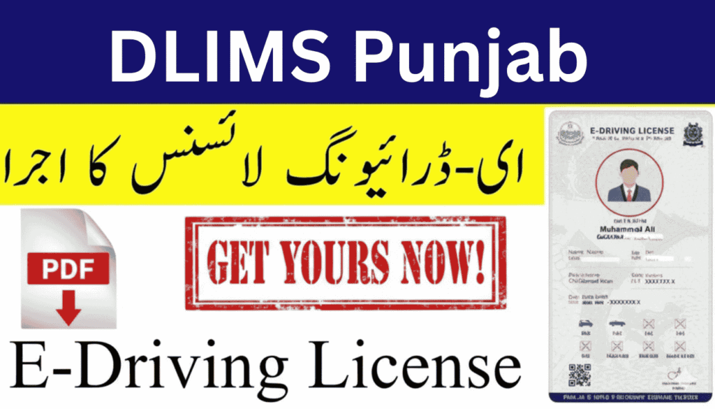 DLIMS e License Punjab | View & Download Driving License Online