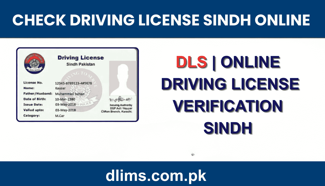 DLS Sindh | Online Driving License Verification Sindh