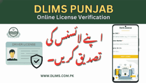 DLIMS Punjab | Online Driving License Check & e-License